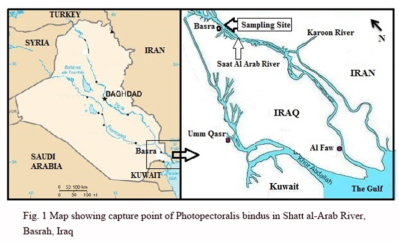 Shatt Al Arab River Map