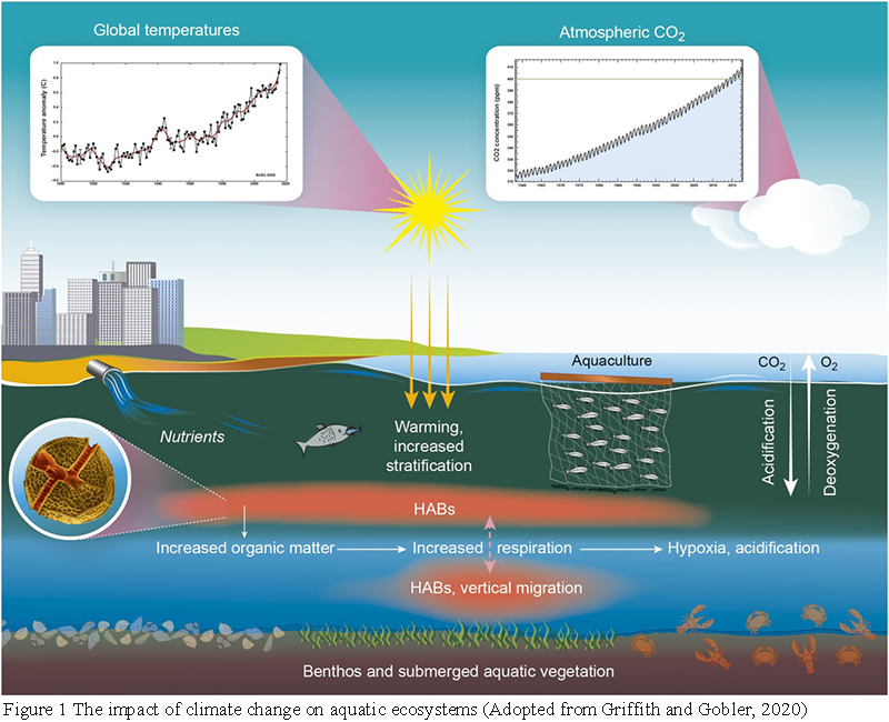 Climate Change and Aquatic Ecosystem Health: Impacts, Adaptation ...