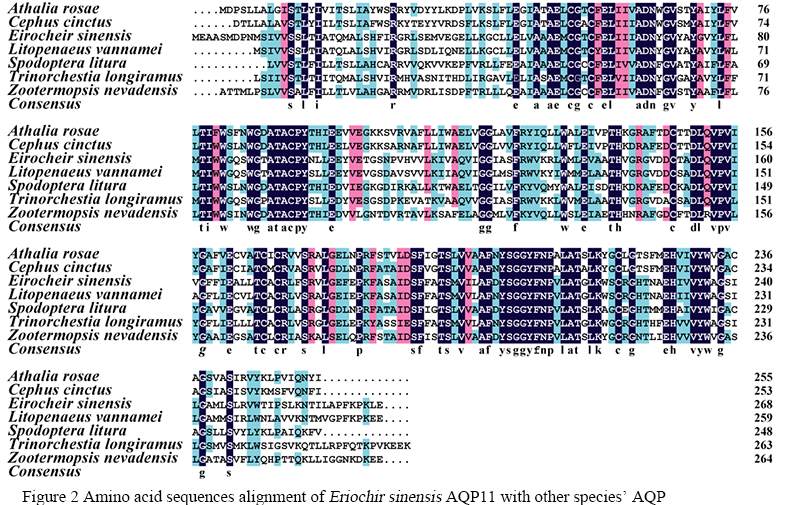 Cloning and Characterization of Aquaporins 11 and Its Expression ...