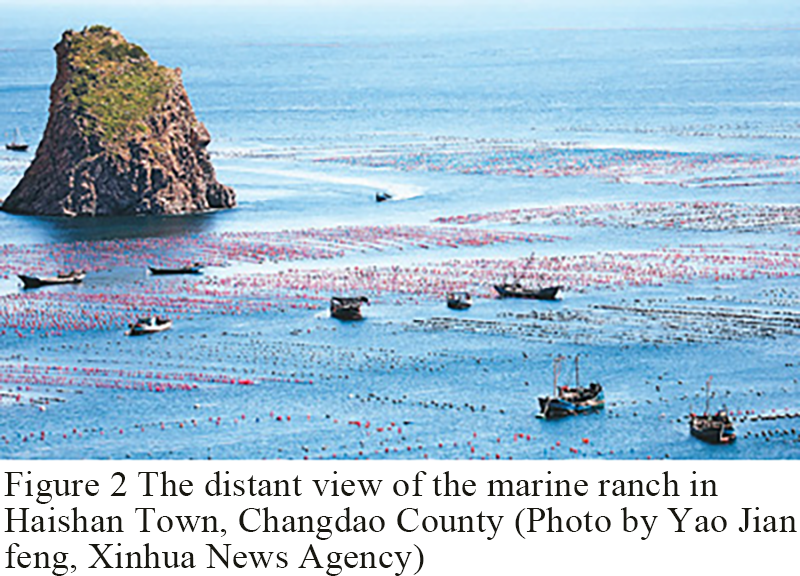 Basic Concepts and Practices of Marine Ranching: A Review from Theory ...
