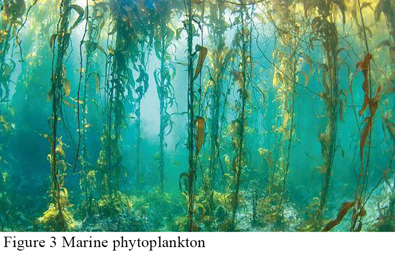 Classification and Main Characteristics of Marine Ecosystems | Wu 1 ...
